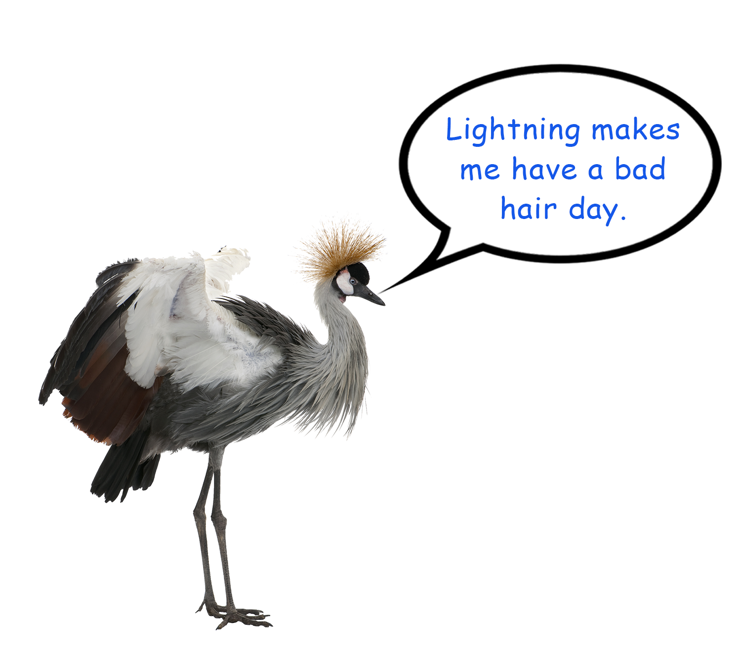 Discover 72 Bad Hair Day Meaning In eteachers Discover 72 Bad Hair Day Meaning In eteachers