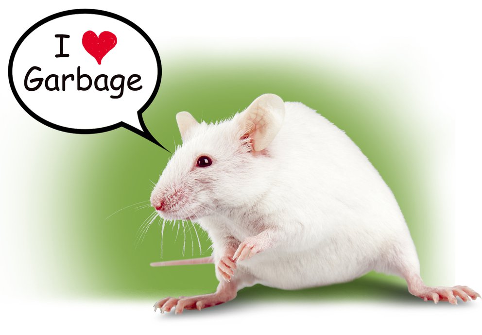 Way to Go! now you know