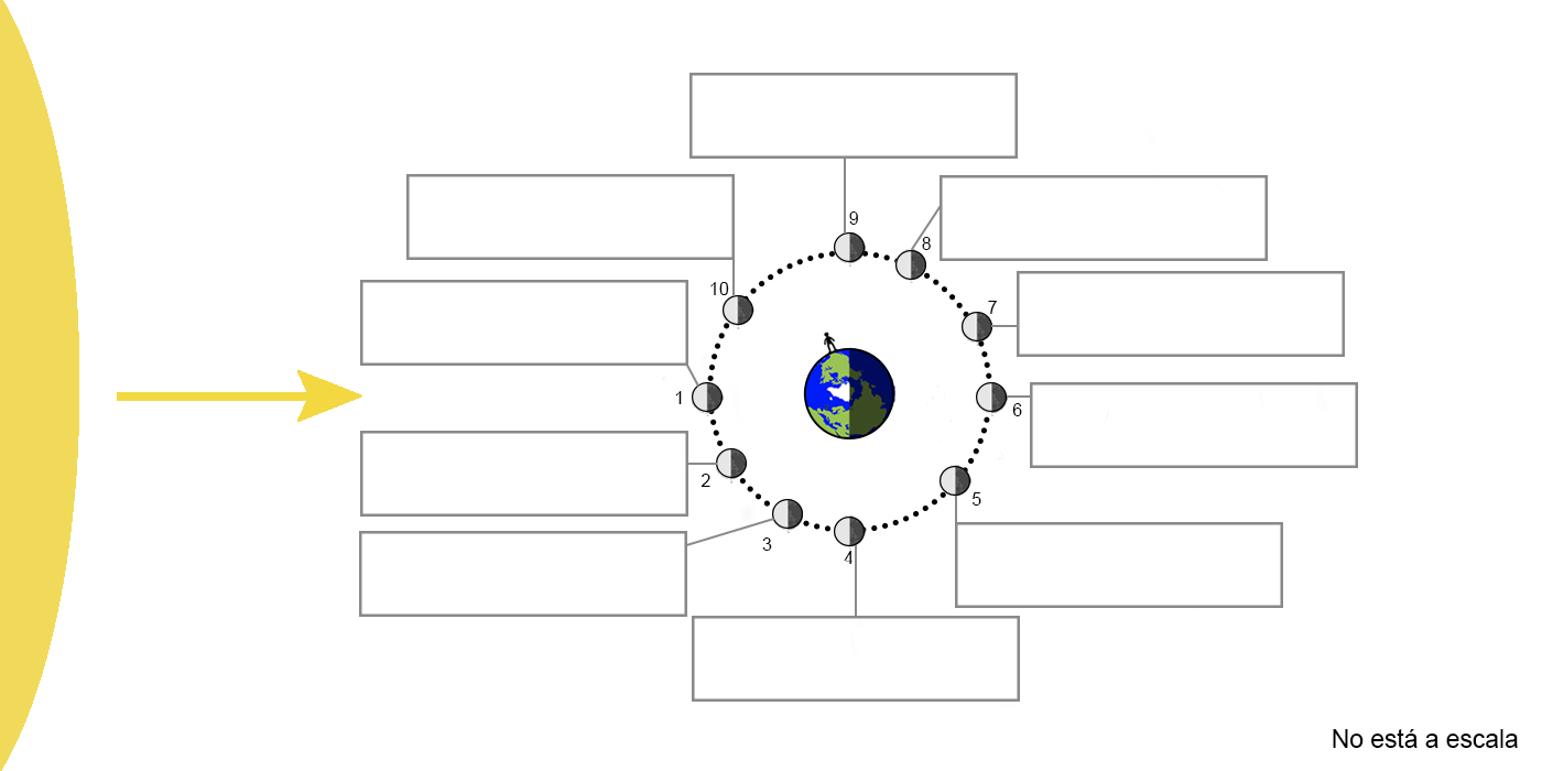 Explicación de las fases de la Luna
