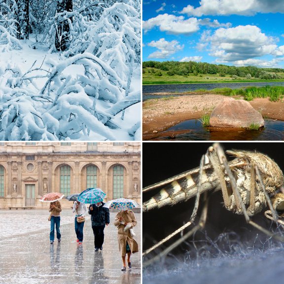 How Does Global Warming Affect You?