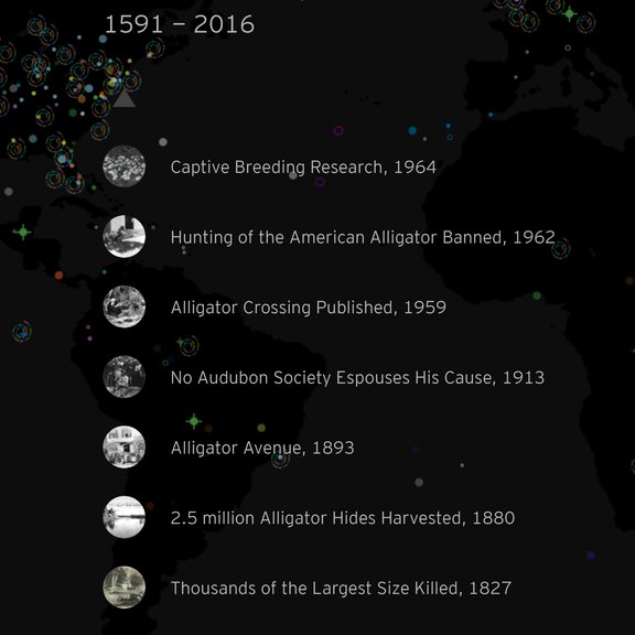 Biodiversity Timelines