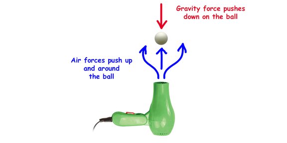 Answer key! arrows show gravity