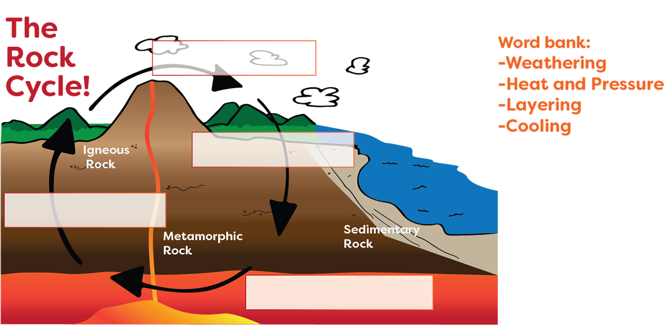 Worksheet Rock Cycle Infographic